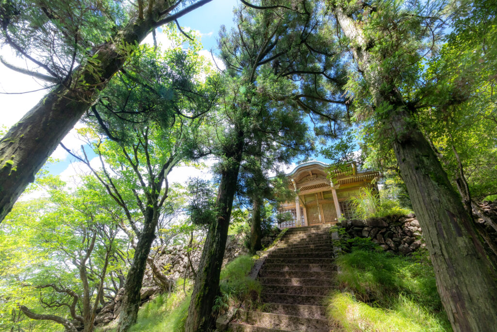 Shikogura Photo Gallery | しこぐらBLOG