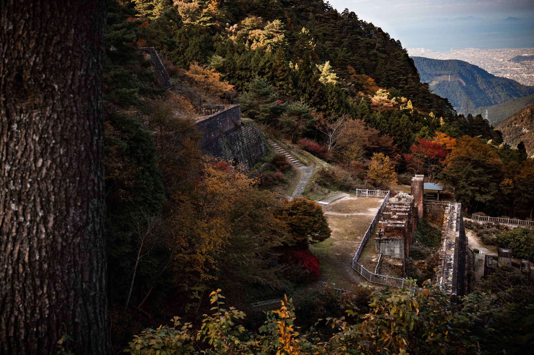 Shikogura Photo Gallery | しこぐらBLOG