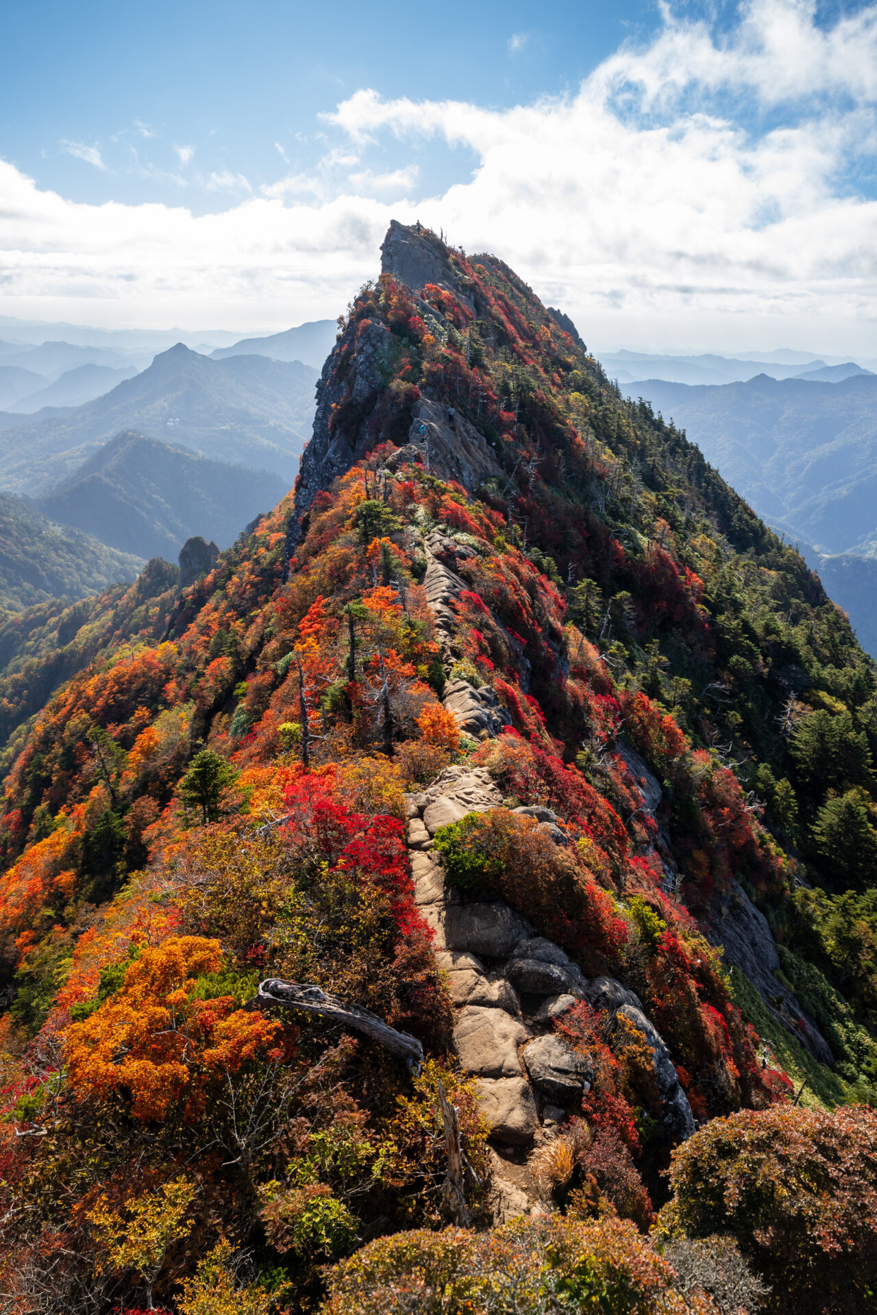 Shikogura Photo Gallery | しこぐらBLOG