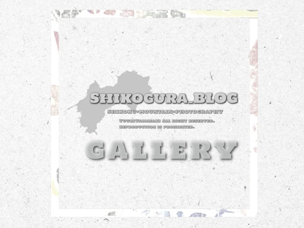 Shikogura Photo Gallery | しこぐらBLOG